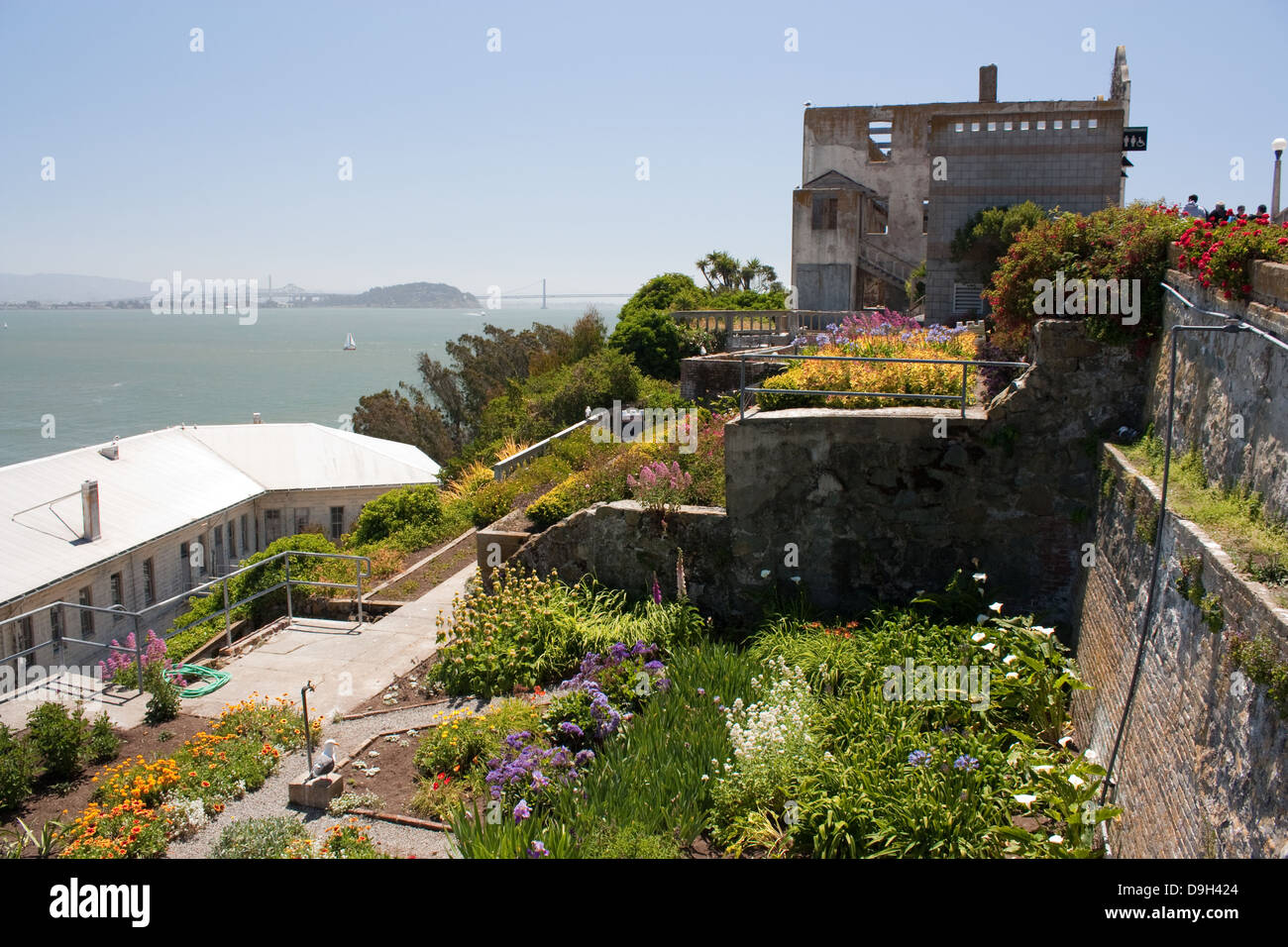 Gardens on Alcatraz Island Stock Photo - Alamy