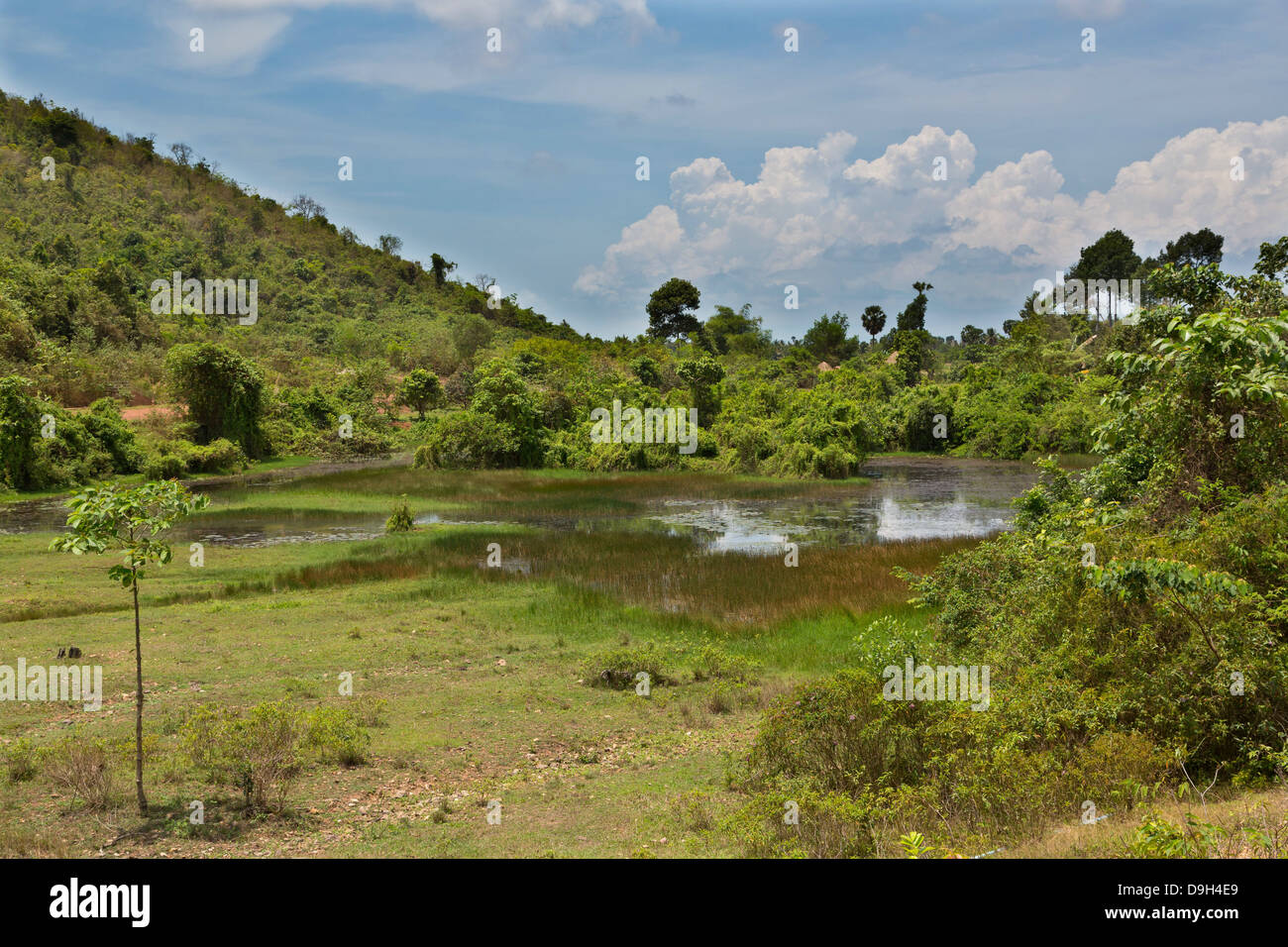 Cambodian natural landscape hi-res stock photography and images - Alamy