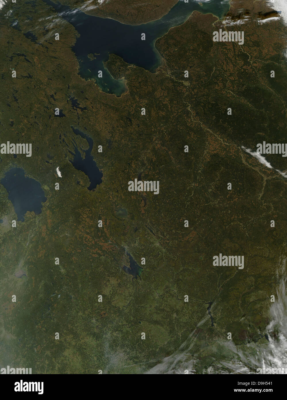 October 7, 2010 - Fall colors in northwestern Russia Stock Photo - Alamy