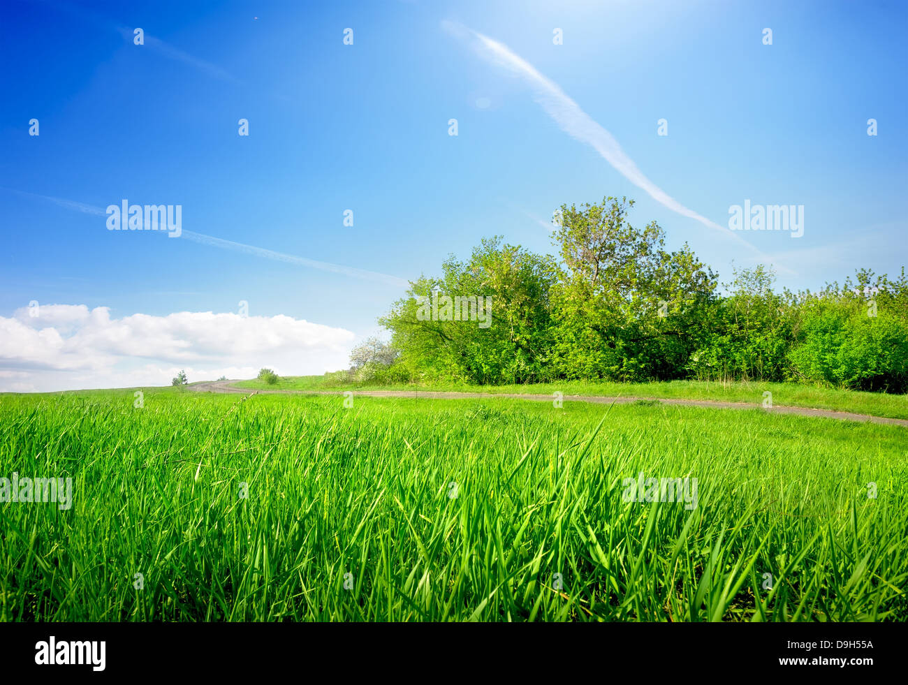 Landscape country field green hi-res stock photography and images - Alamy