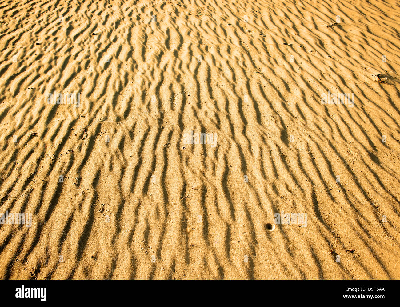 Yellow sand in desert. Texture of desert Stock Photo - Alamy