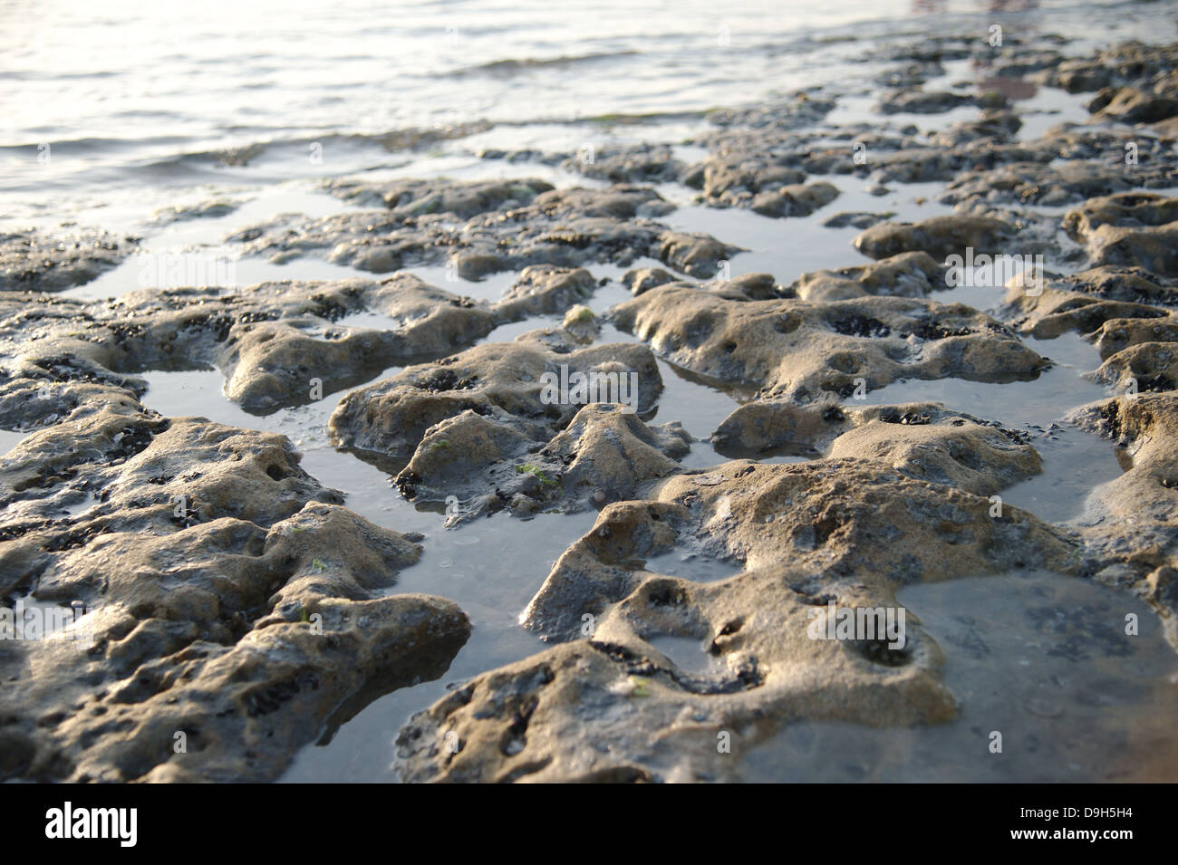 stones and sea Stock Photo - Alamy