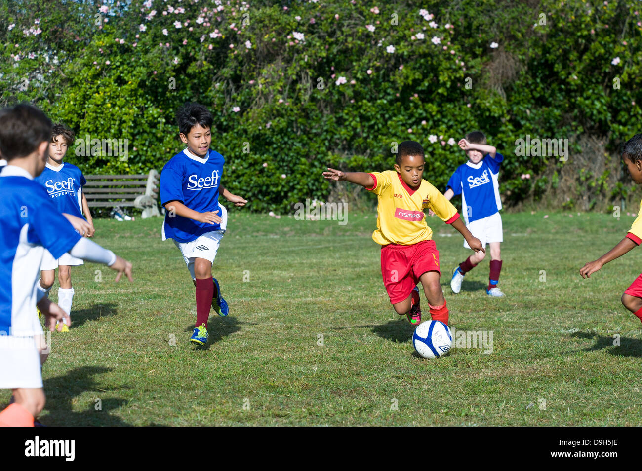 Junior football players playing a match, Cape Town, South Africa Stock ...