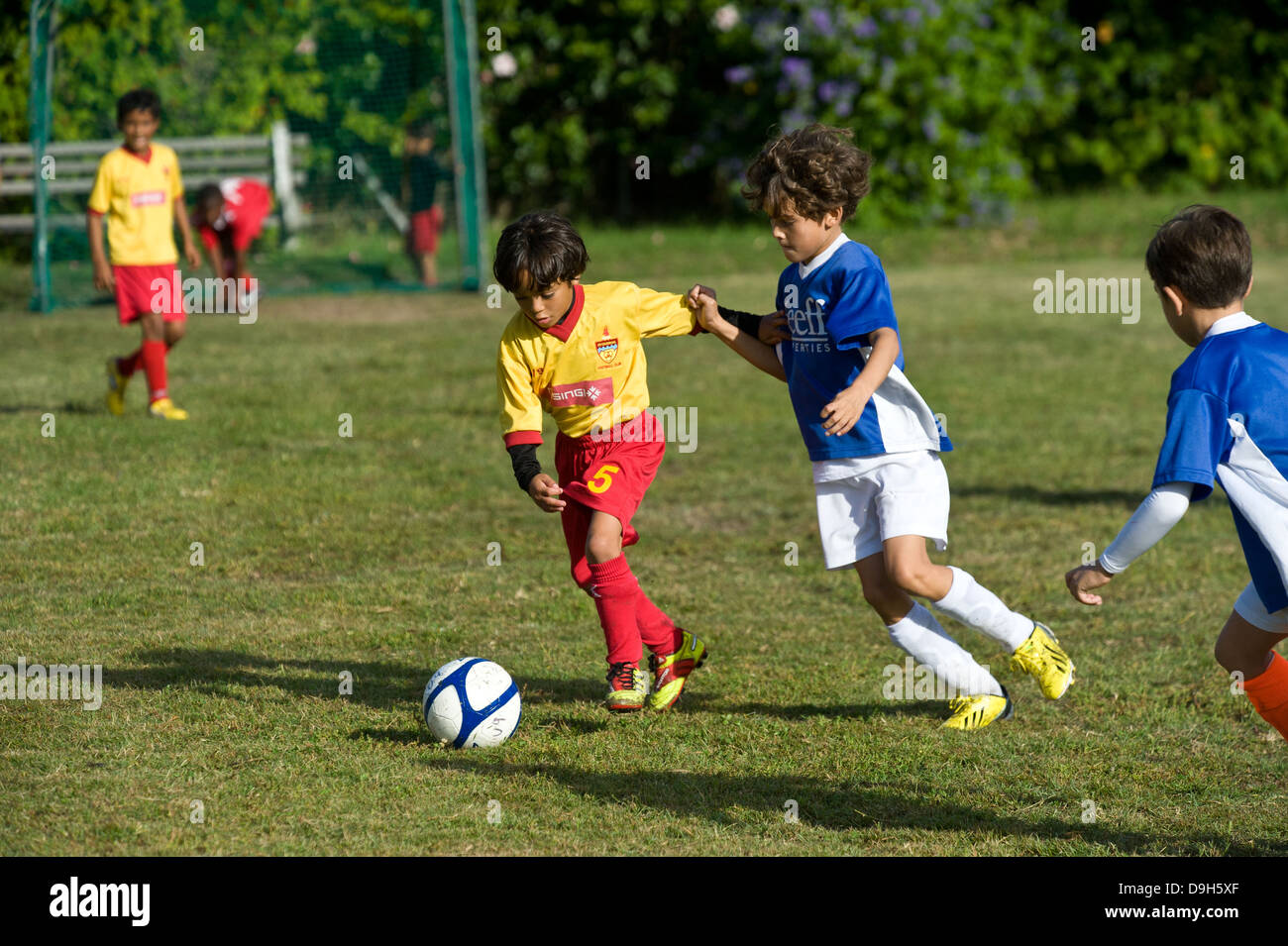 Junior football players playing a match, Cape Town, South Africa Stock ...