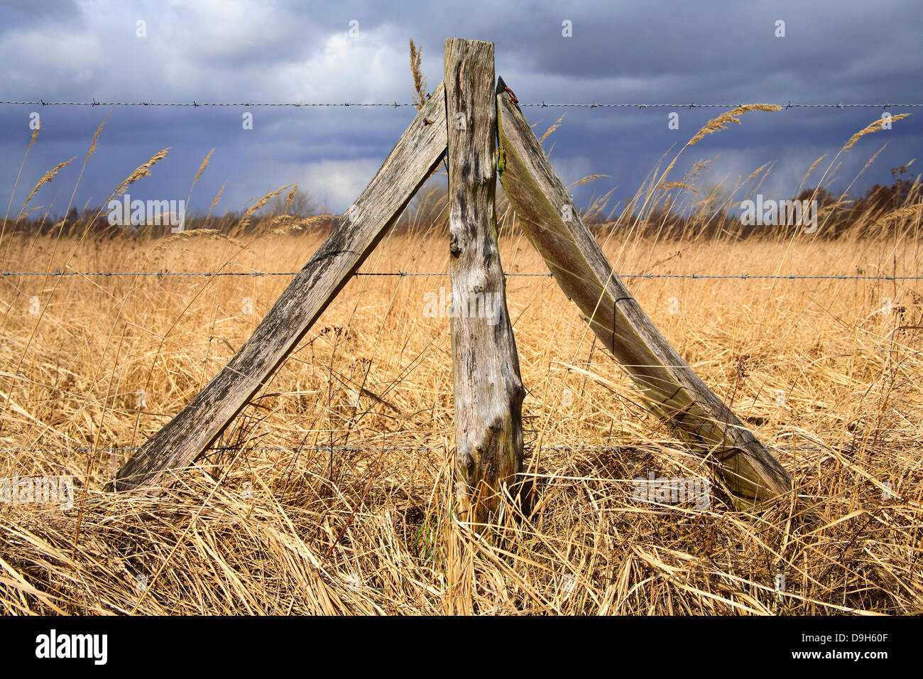 Pasture fence with barbed wire on the Elbe Stock Photo - Alamy