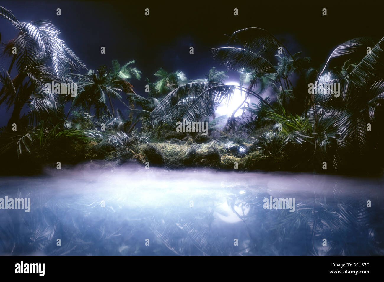 Natural environment of the swamp hi-res stock photography and images ...