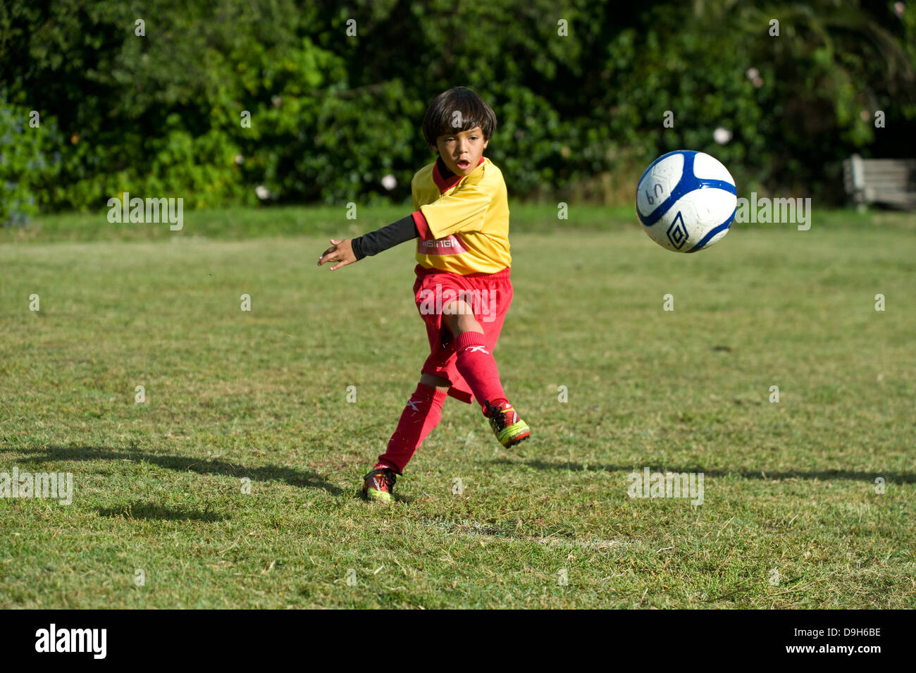 Junior football player kicking the ball, Cape Town, South Africa Stock ...