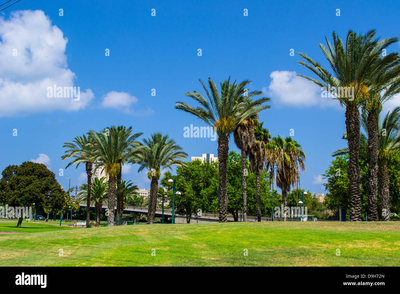 View of summer park Yarkon in Tel Aviv,Israel Stock Photo - Alamy