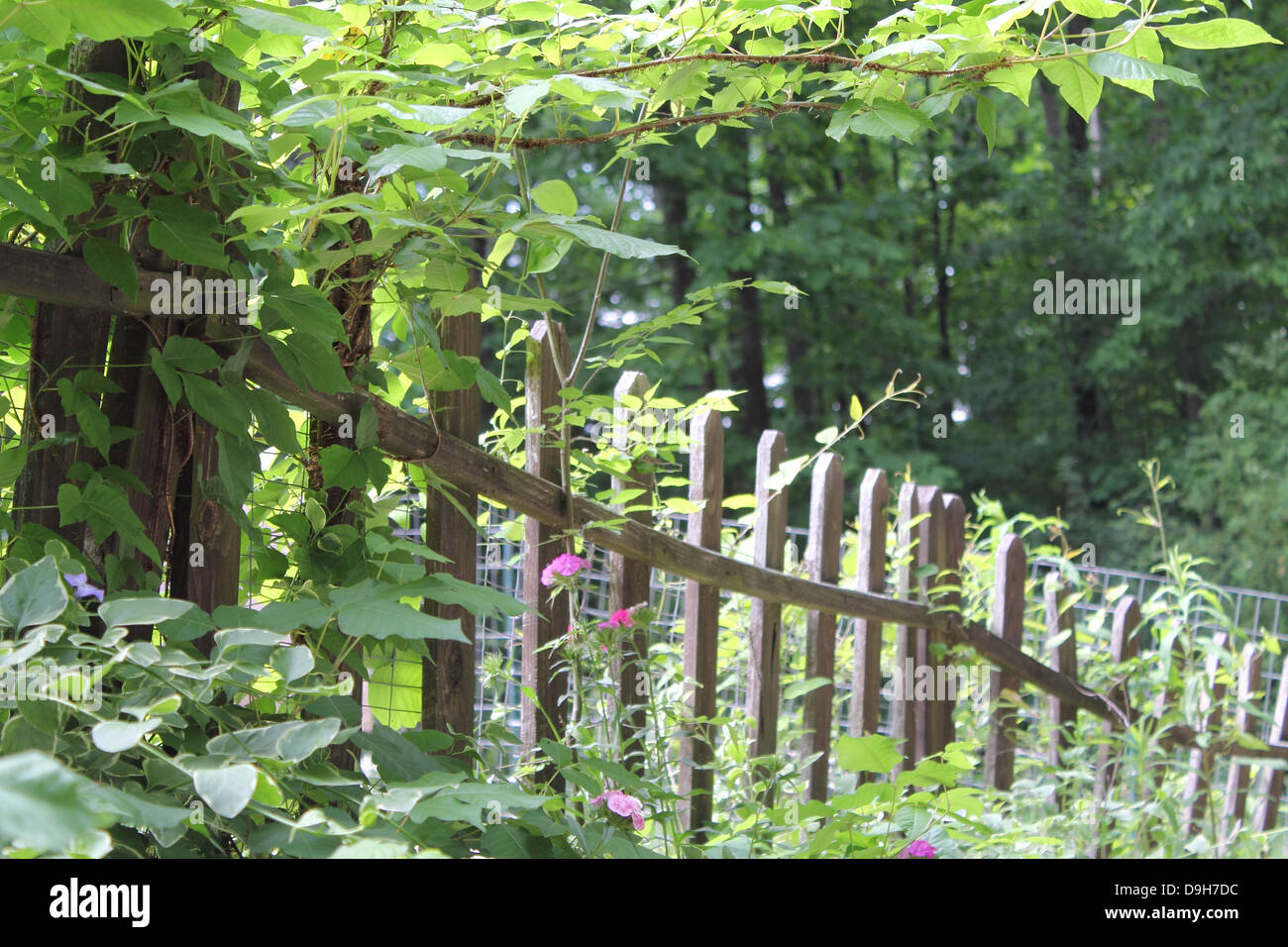 Rural fenceline hi-res stock photography and images - Alamy
