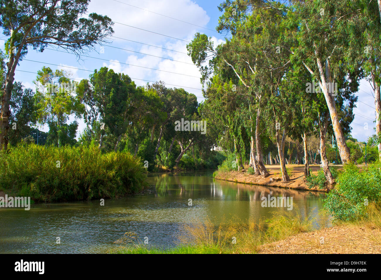View of summer park Yarkon in Tel Aviv,Israel Stock Photo - Alamy