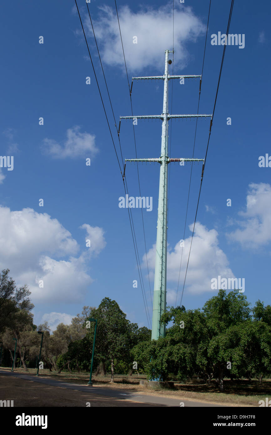 Wires of electricity transmissions and trees Stock Photo - Alamy