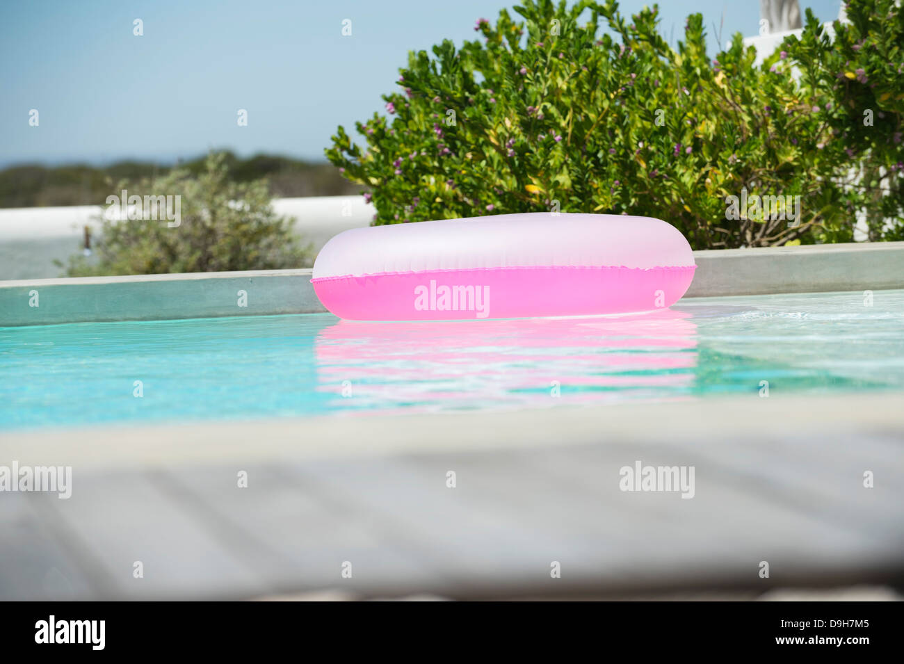 Inflatable ring floating on water in a swimming pool Stock Photo - Alamy
