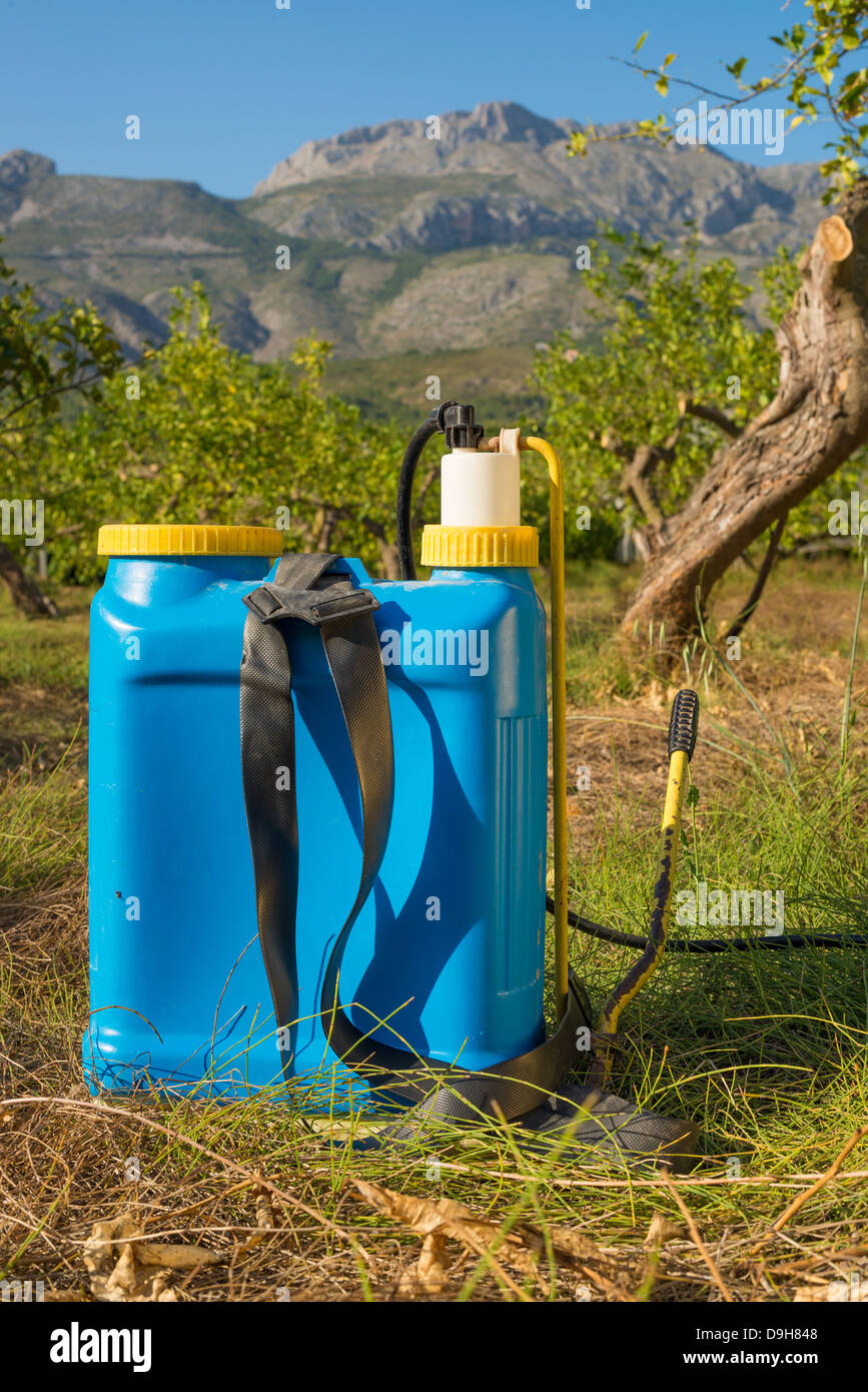 Pesticide sprayer in a sunny citrus plantation Stock Photo - Alamy