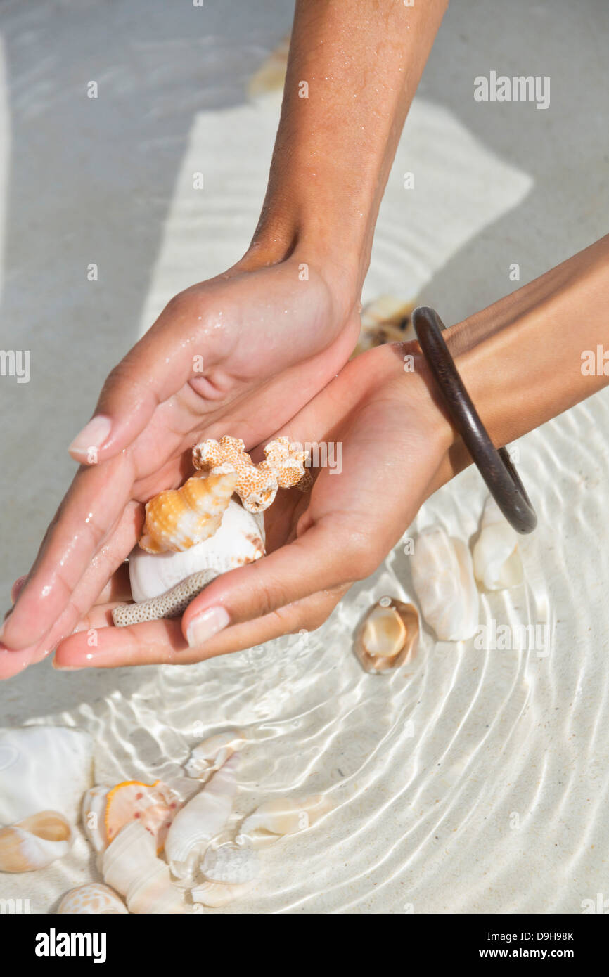 Woman picking seashells on the beach Stock Photo - Alamy