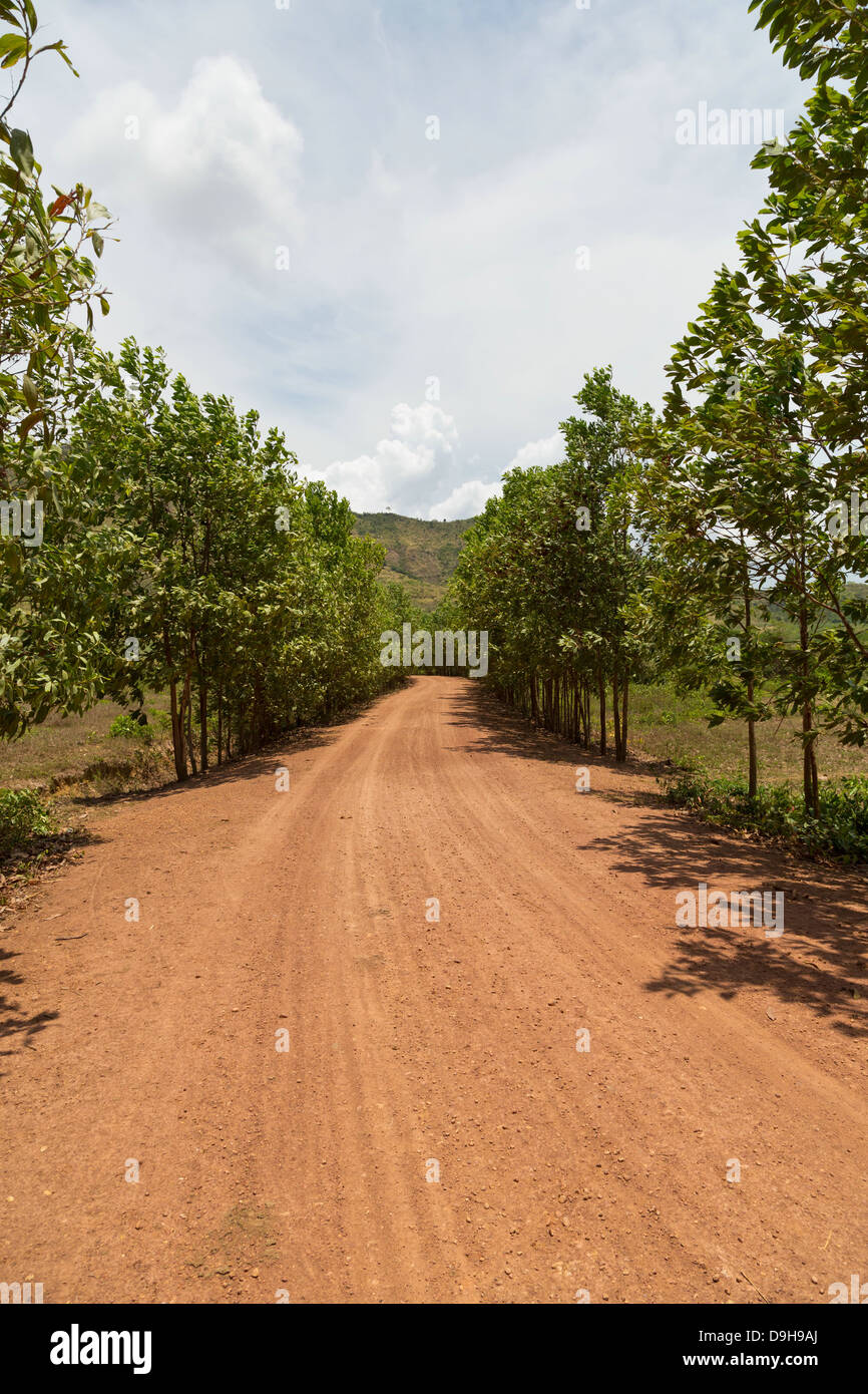 Typical dusty Country Road in the Kampot Province, Cambodia Stock Photo ...