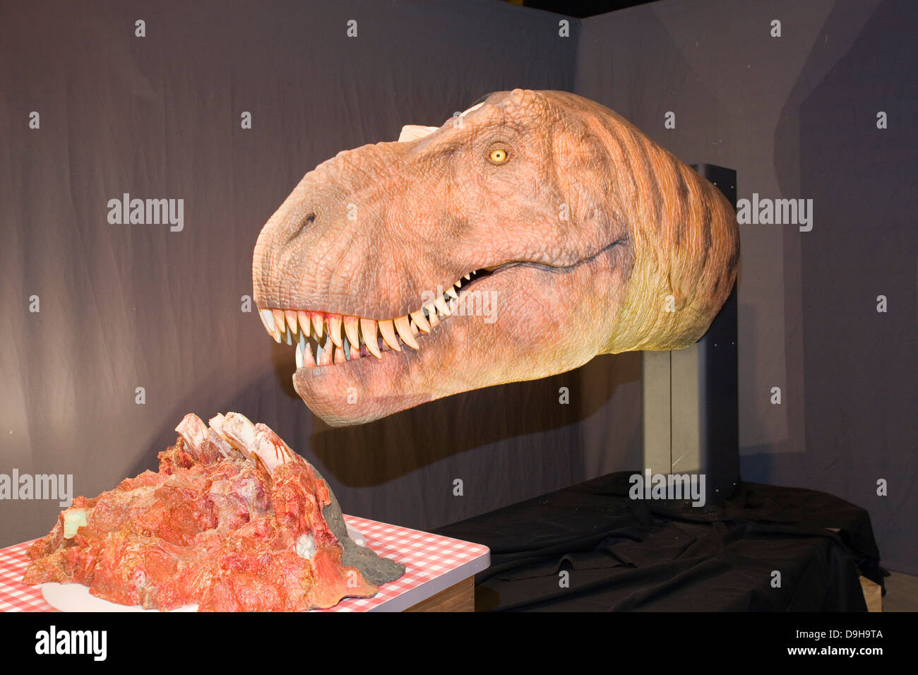 Prehistoric animal hi-res stock photography and images - Alamy