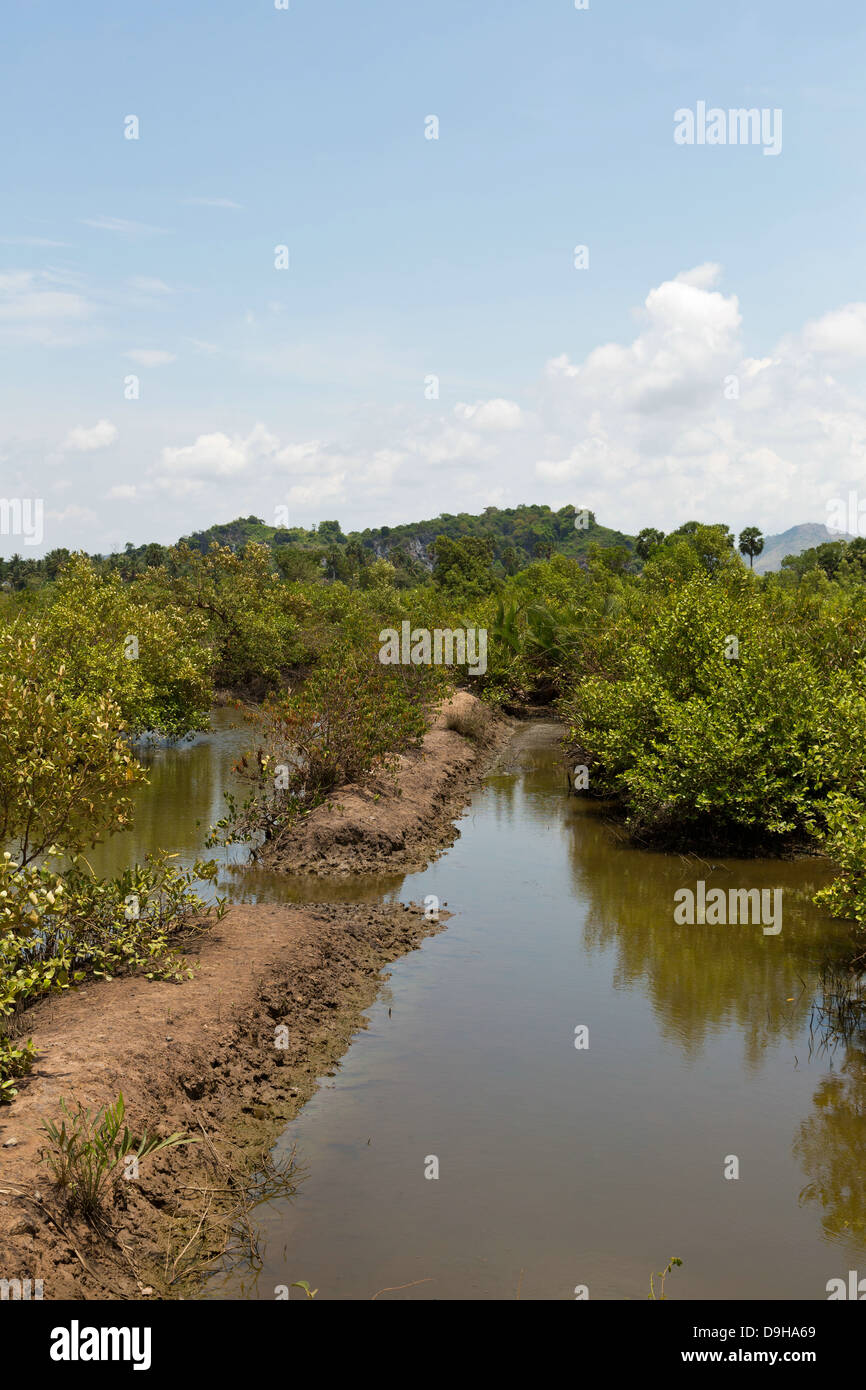 Irrigation Canals in the Kampot Province, Cambodia Stock Photo - Alamy