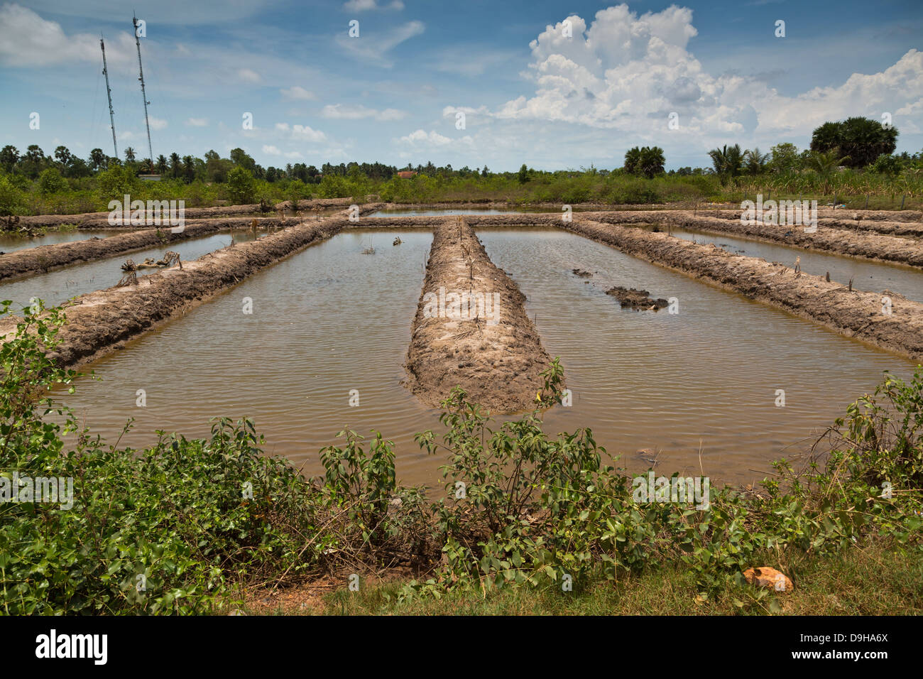 Cambodia irrigation hi-res stock photography and images - Alamy