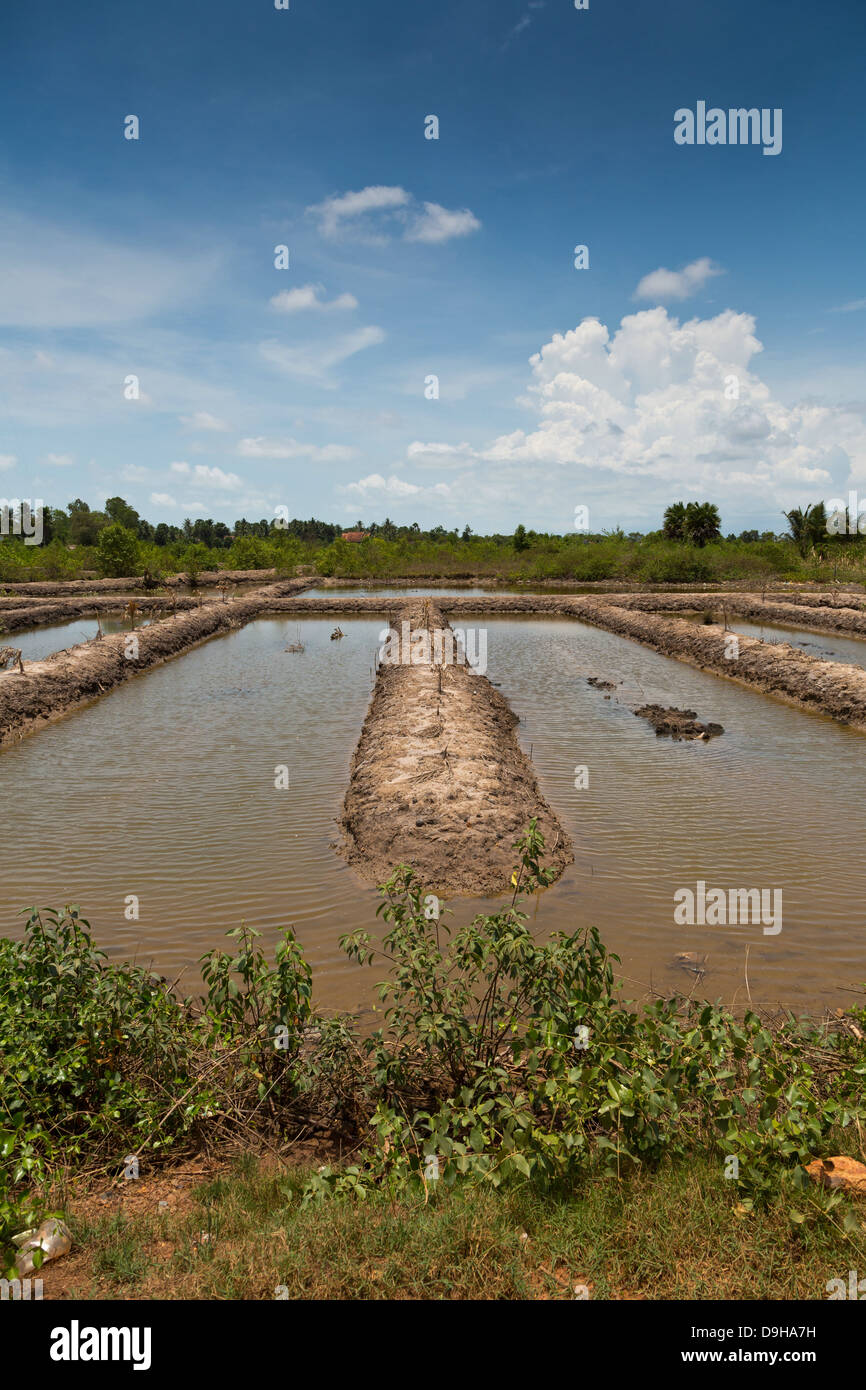 Irrigation Canals in the Kampot Province, Cambodia Stock Photo - Alamy