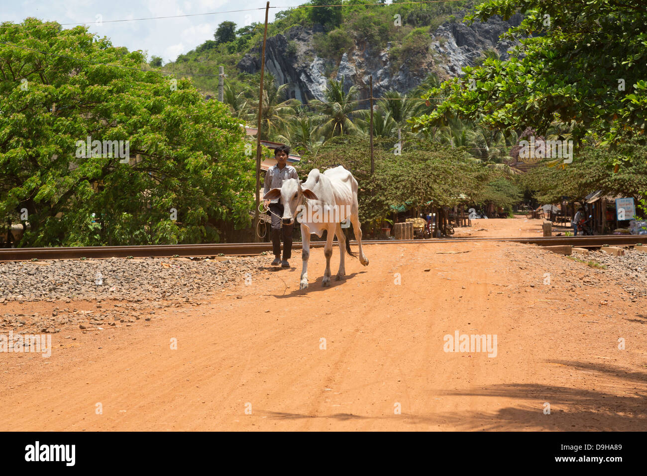 Typical dusty Country Road in the Kampot Province, Cambodia Stock Photo ...