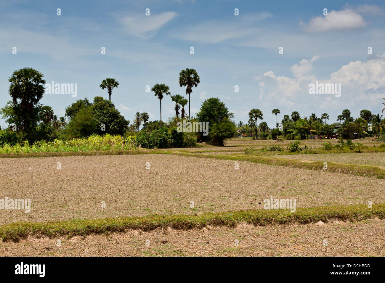 Landscape in the Kampot Province, Cambodia Stock Photo - Alamy