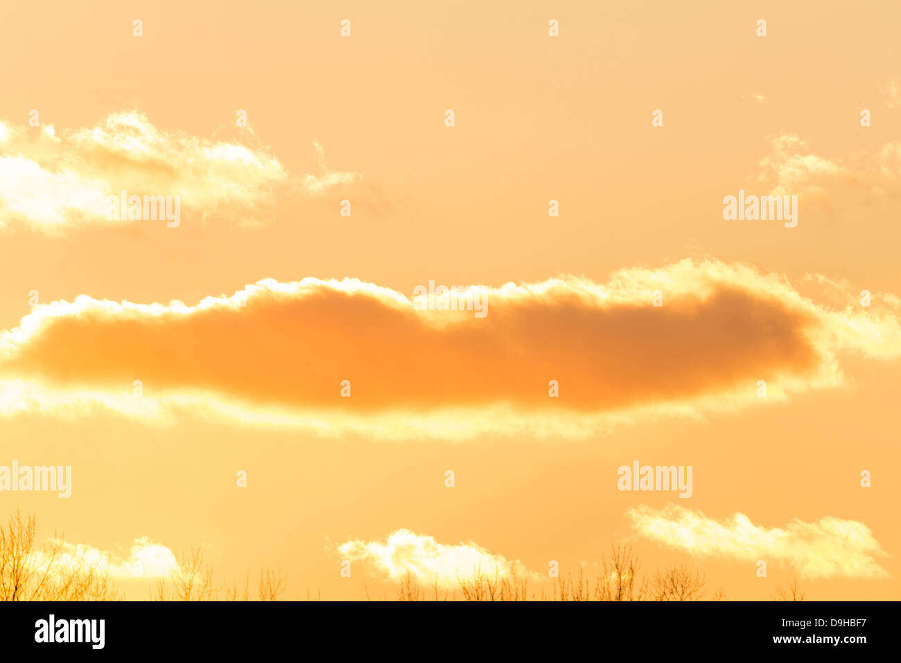 Golden clouds at sunset Stock Photo - Alamy