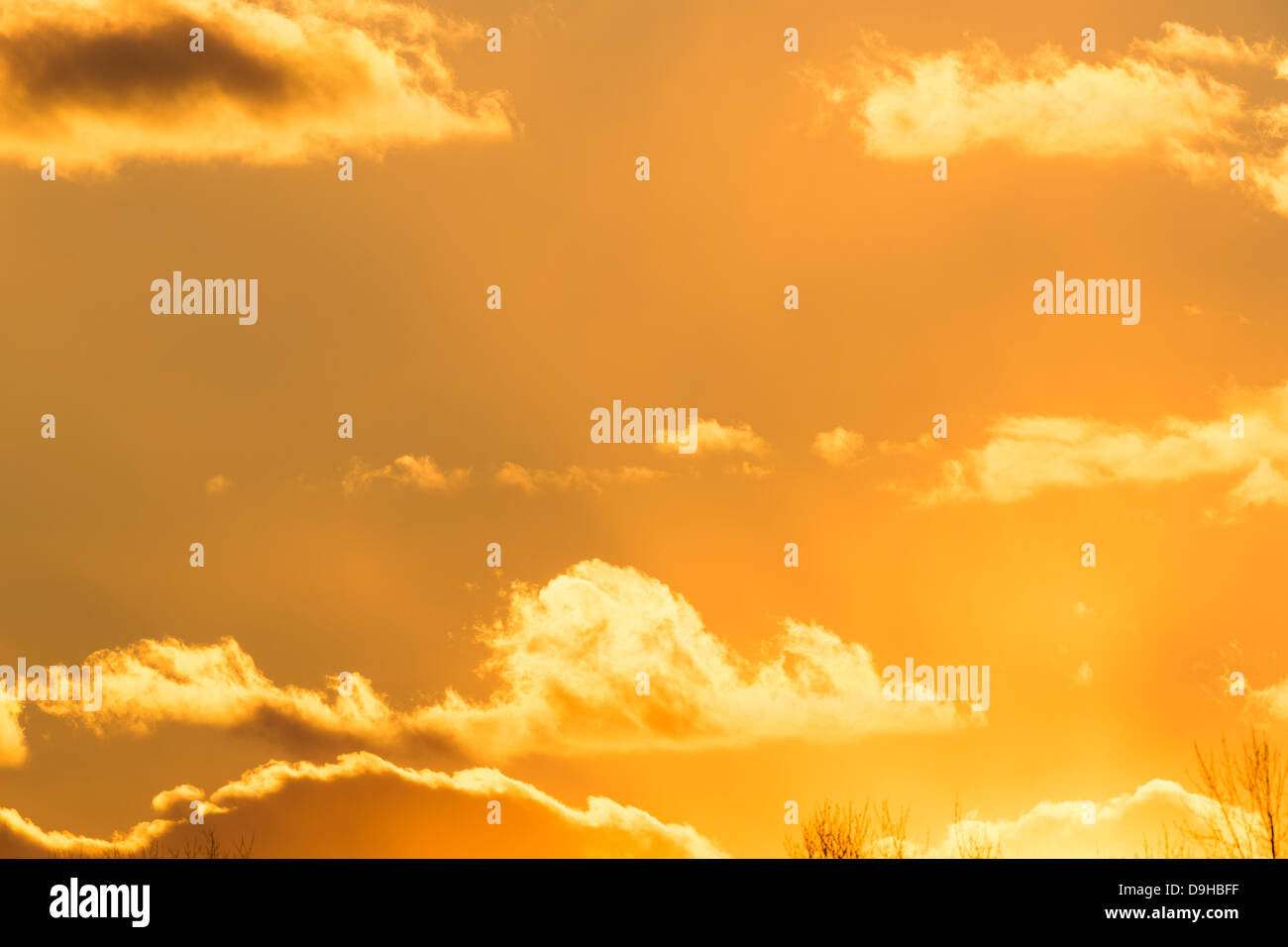 Golden clouds at sunset Stock Photo - Alamy