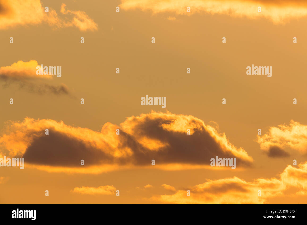 Golden clouds at sunset Stock Photo - Alamy