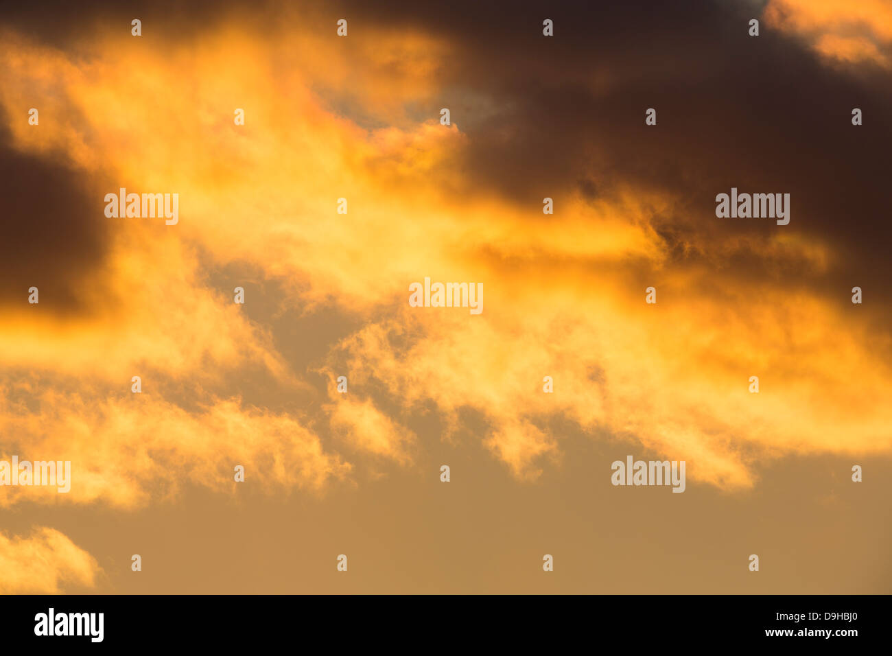 Golden clouds at sunset Stock Photo - Alamy