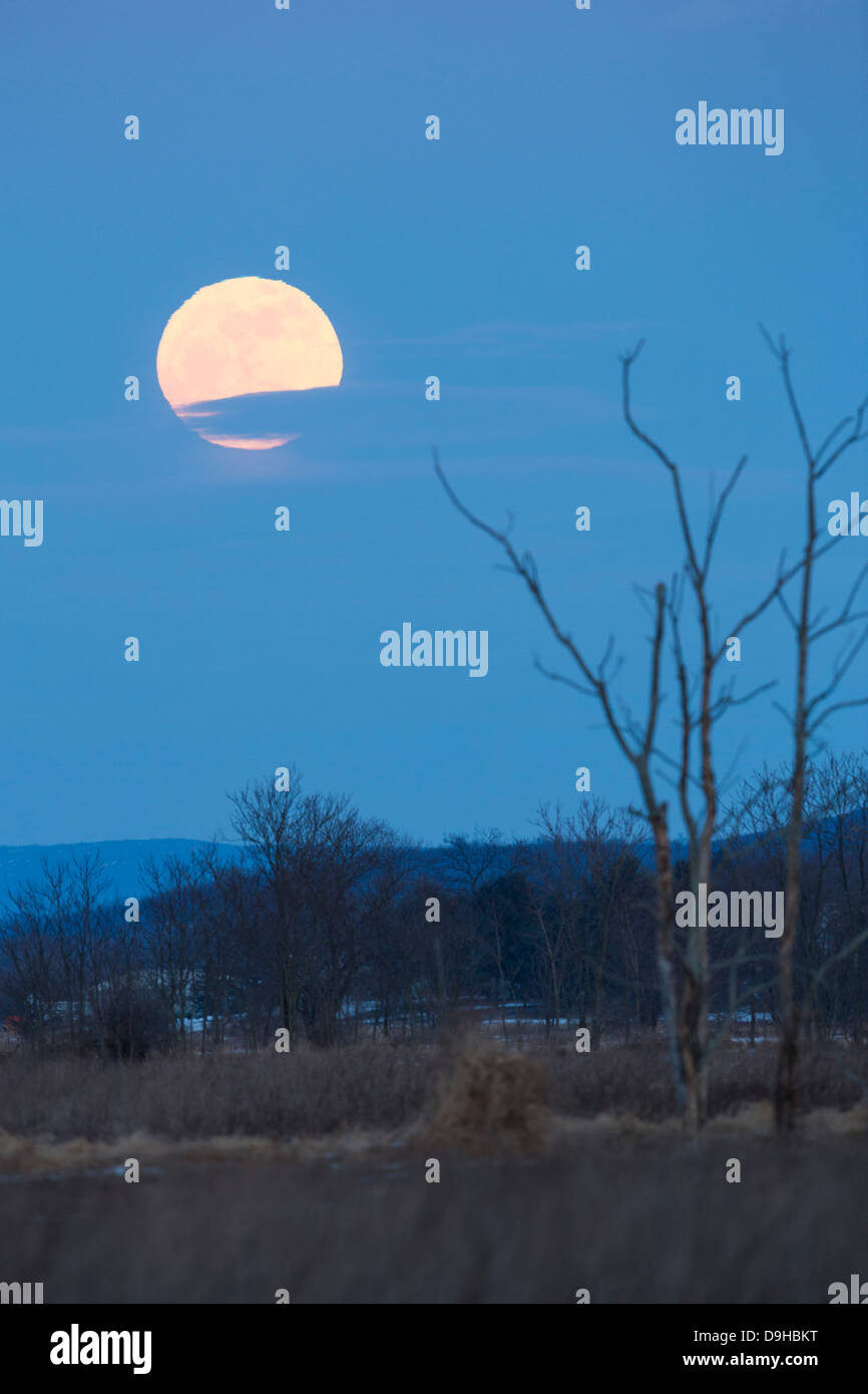 Full Moon rising - Supermoon - diffraction - changing shape Stock Photo ...
