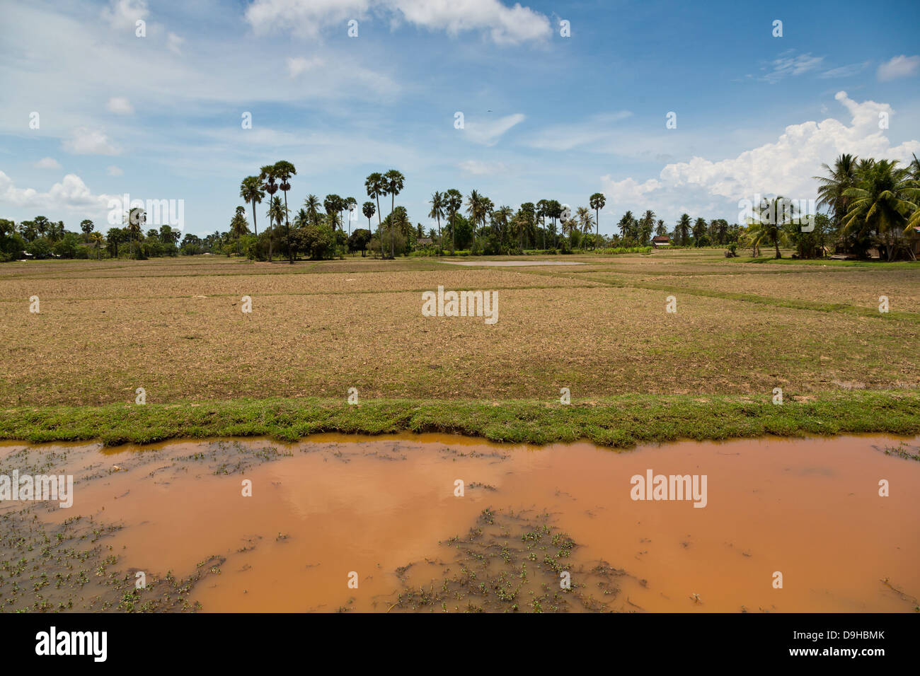 Landscape in the Kampot Province, Cambodia Stock Photo - Alamy