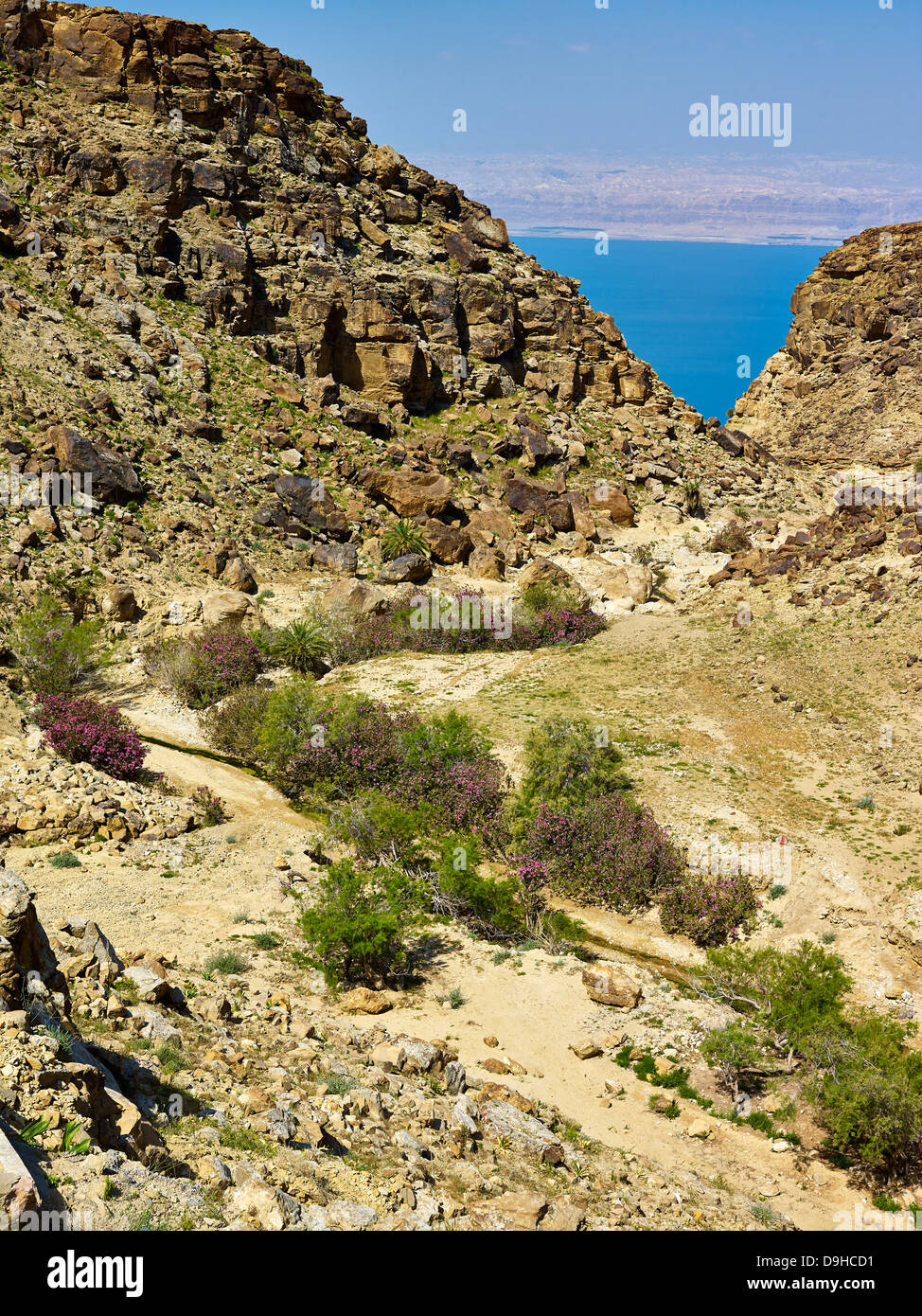 Ain zarqa hi-res stock photography and images - Alamy