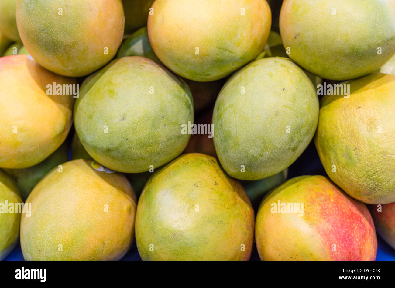 Freshly picked mangoes on display at the farmers market Stock Photo - Alamy