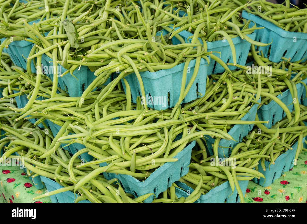 Freshly picked green or string beans on display at the farmers market ...