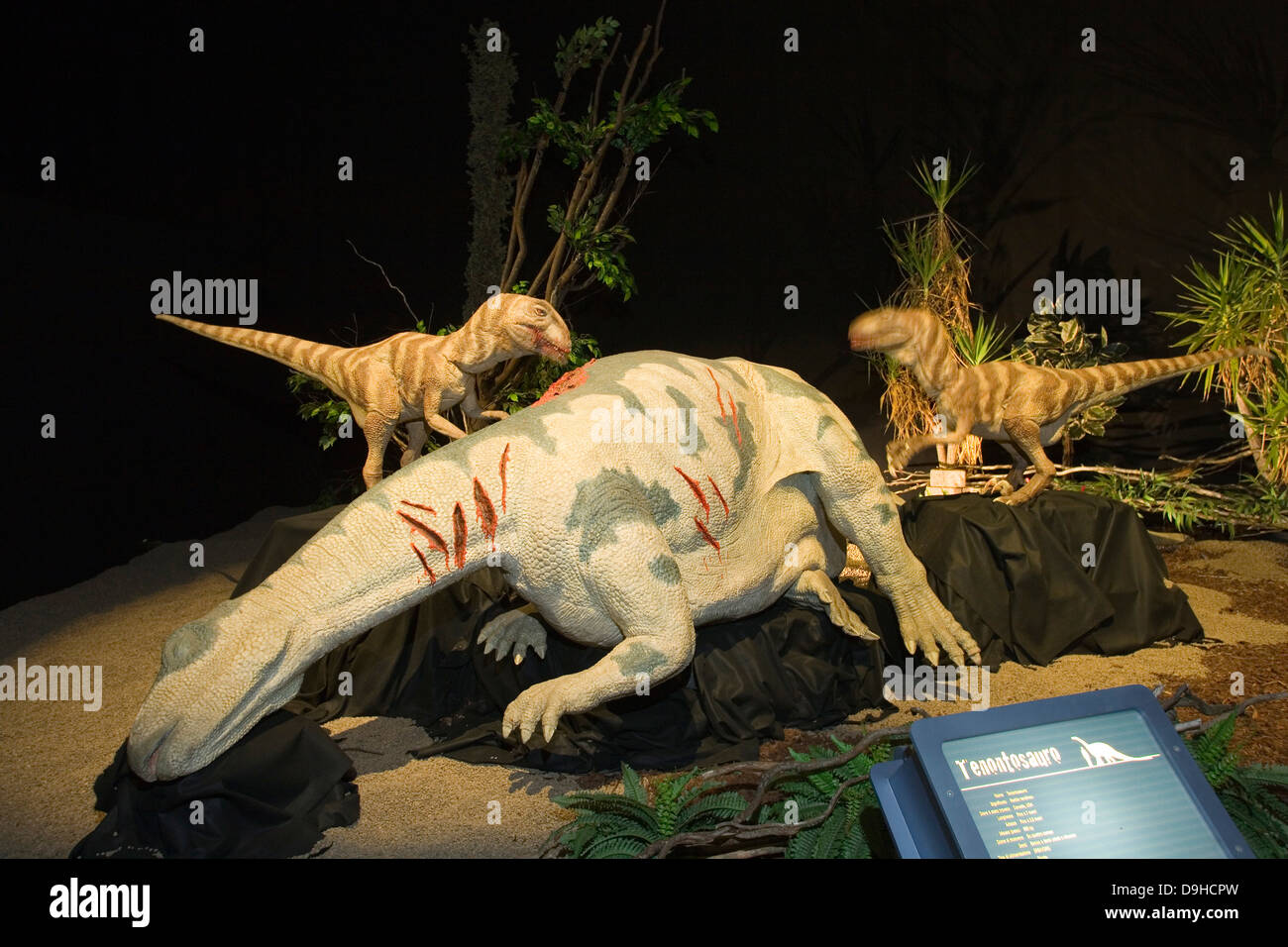 europe, italy, lombardia, cremona, exhibition of reproduction of ...