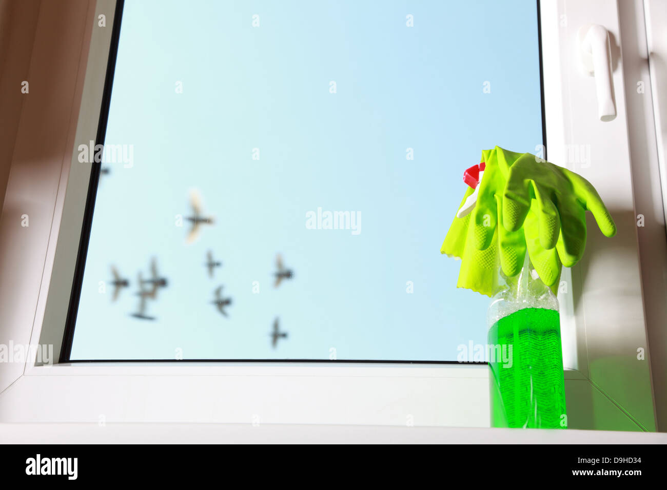 Cleaning window using tools - rag and spray detergent. Spring cleaning ...