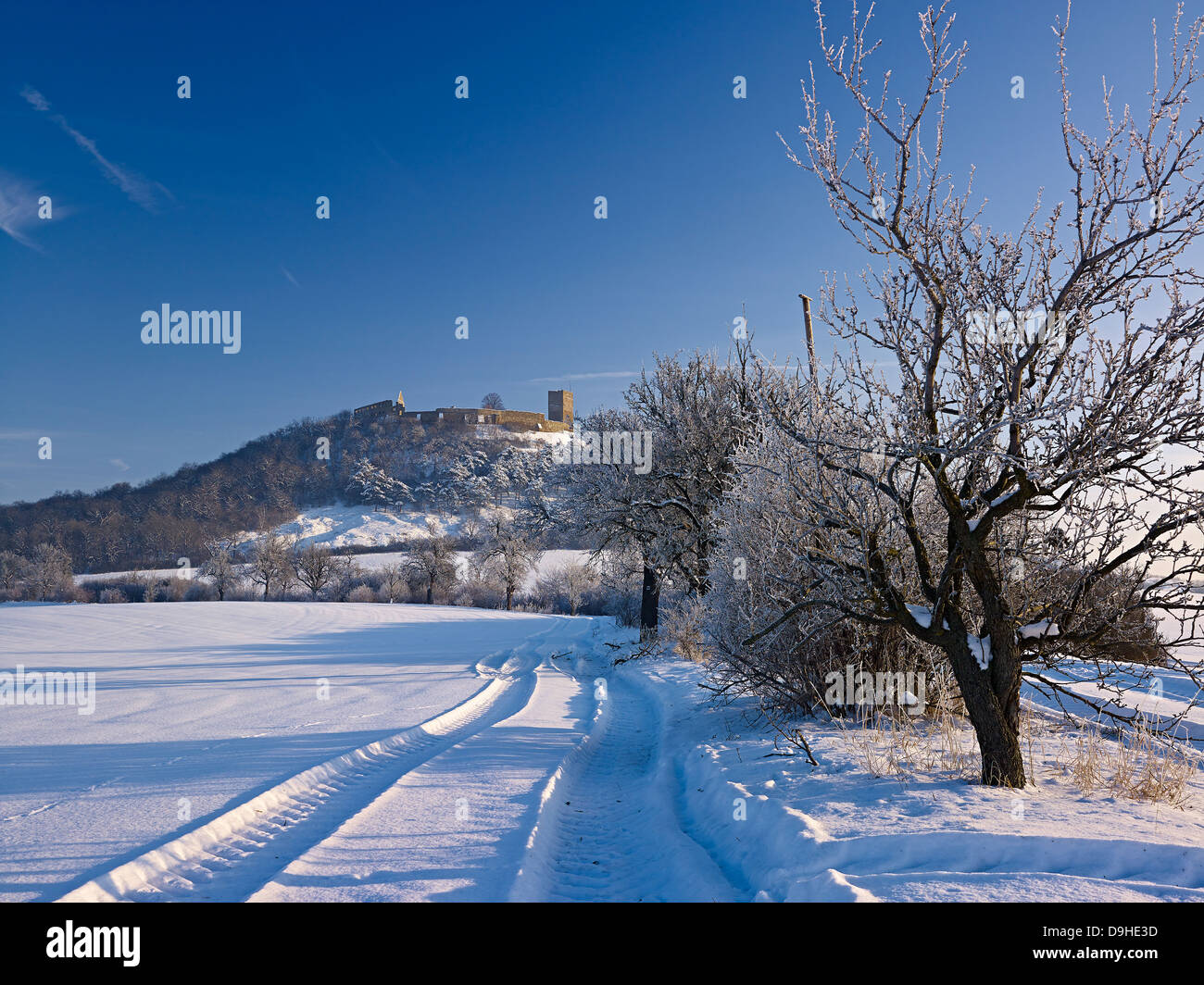 Castle Gleichen near Muehlberg, Drei Gleichen, Thuringia, Deuschland ...