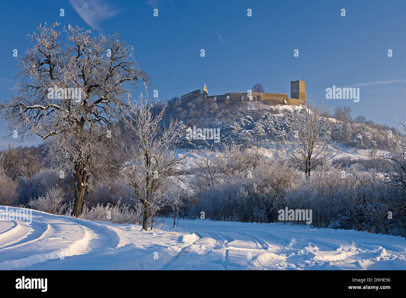 Castle Gleichen near Muehlberg, Drei Gleichen, Thuringia, Deuschland ...