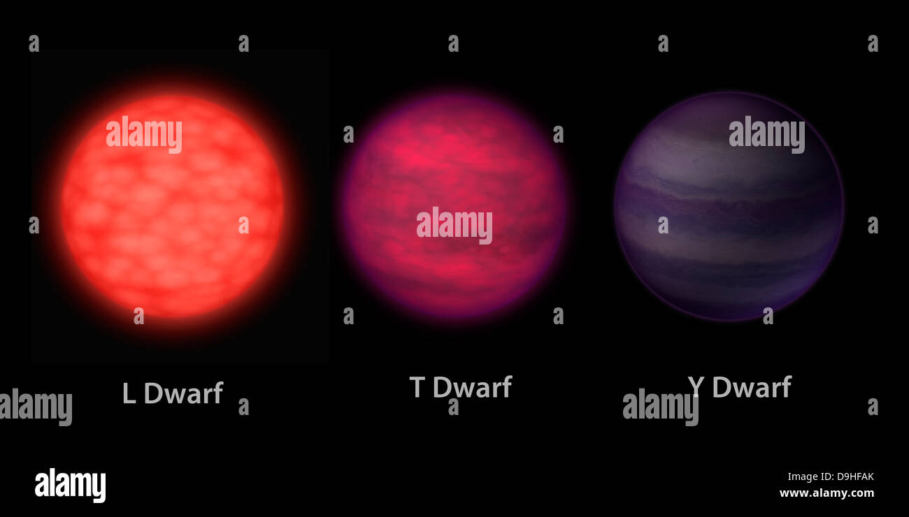 Frequency Brown Dwarf