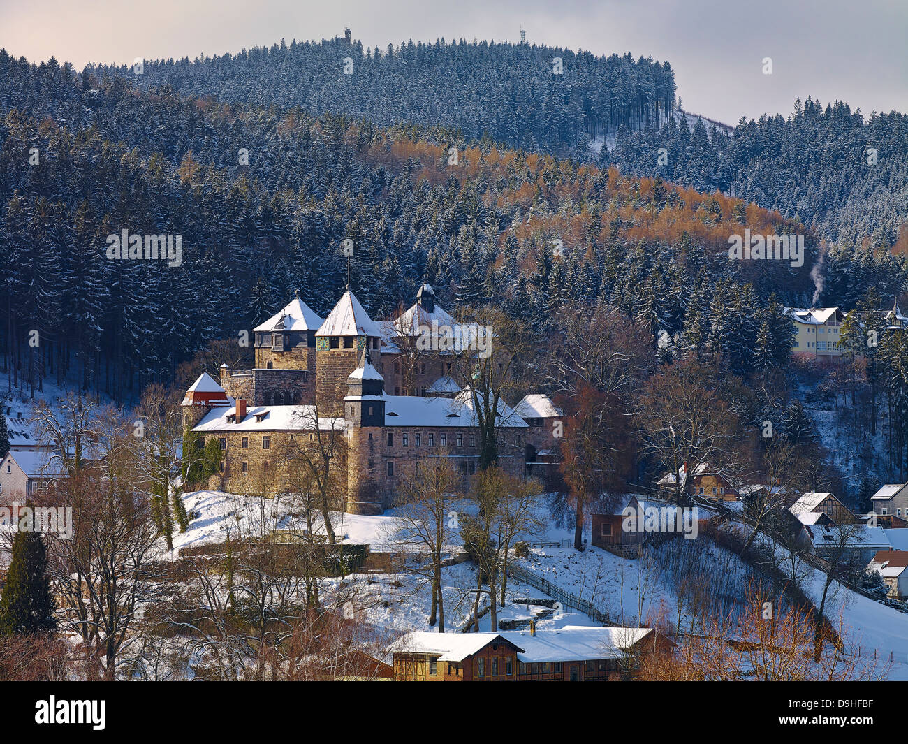 Elgersburg castle near Ilmenau, Thuringia, Germany Stock Photo - Alamy