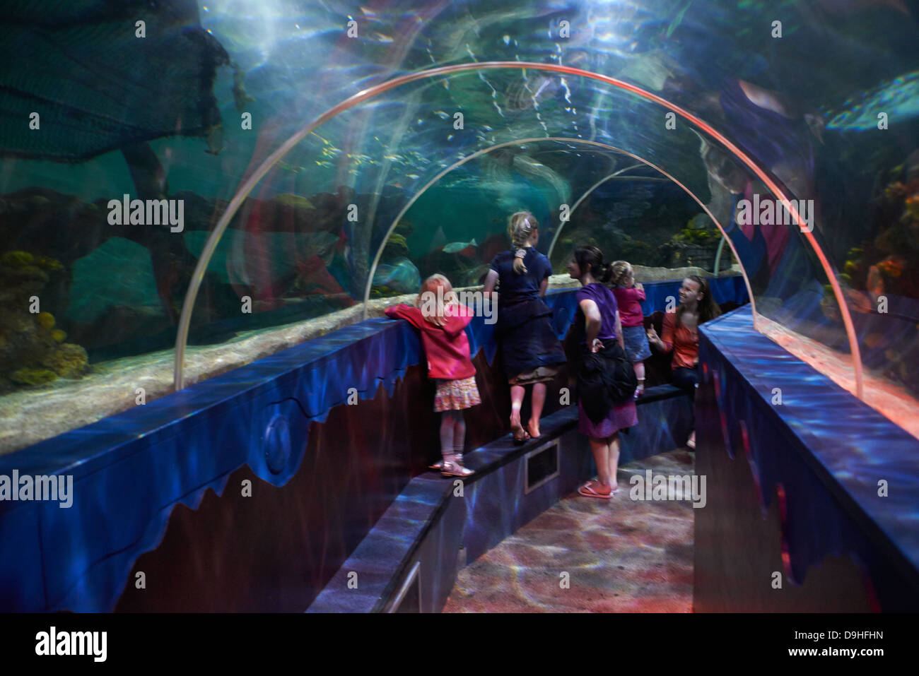 Interior of SeaLife aquarium Scheveningen The Haag Holland Stock Photo ...