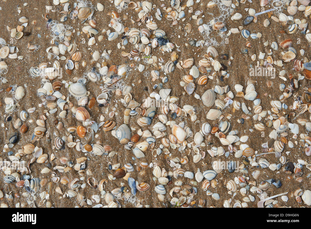 Sand up close hi-res stock photography and images - Alamy
