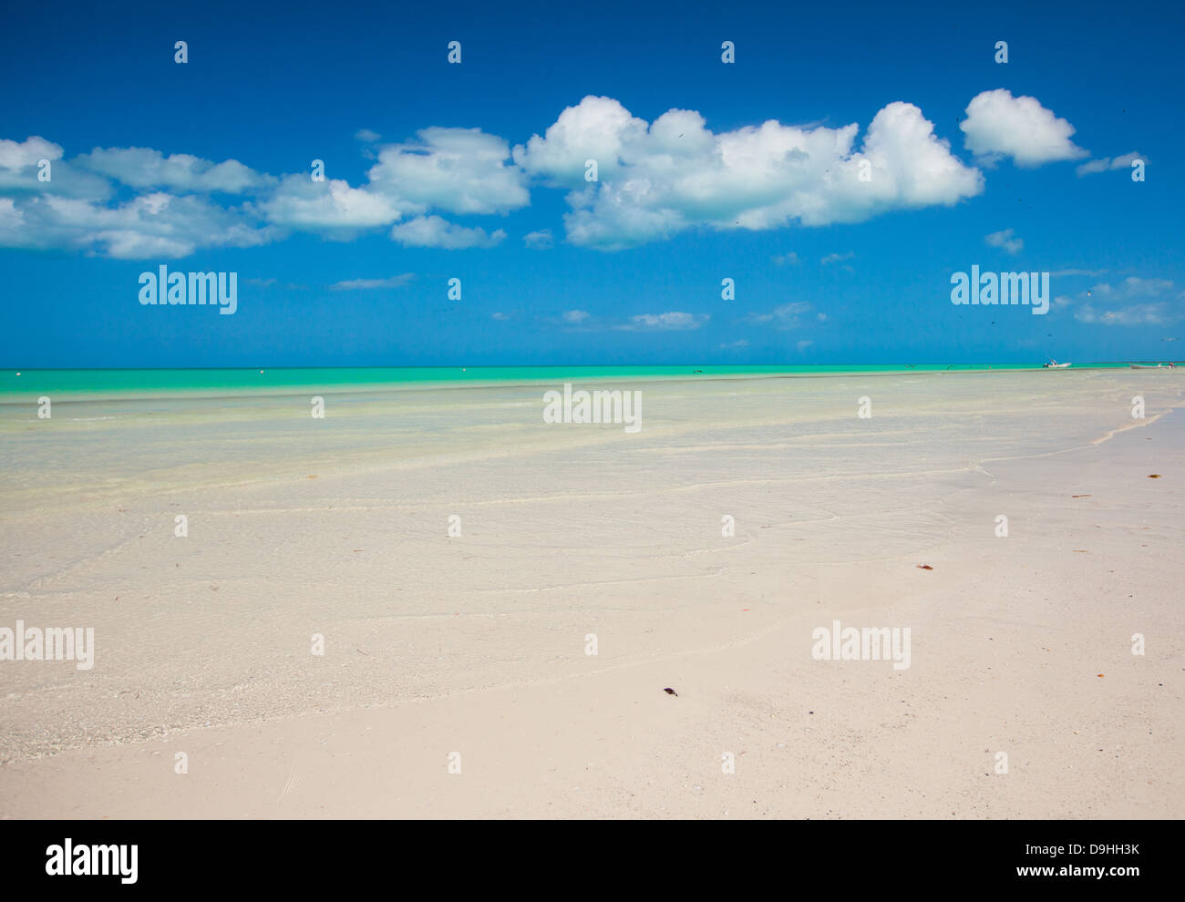 Tropical deserted perfect beach on island Stock Photo - Alamy