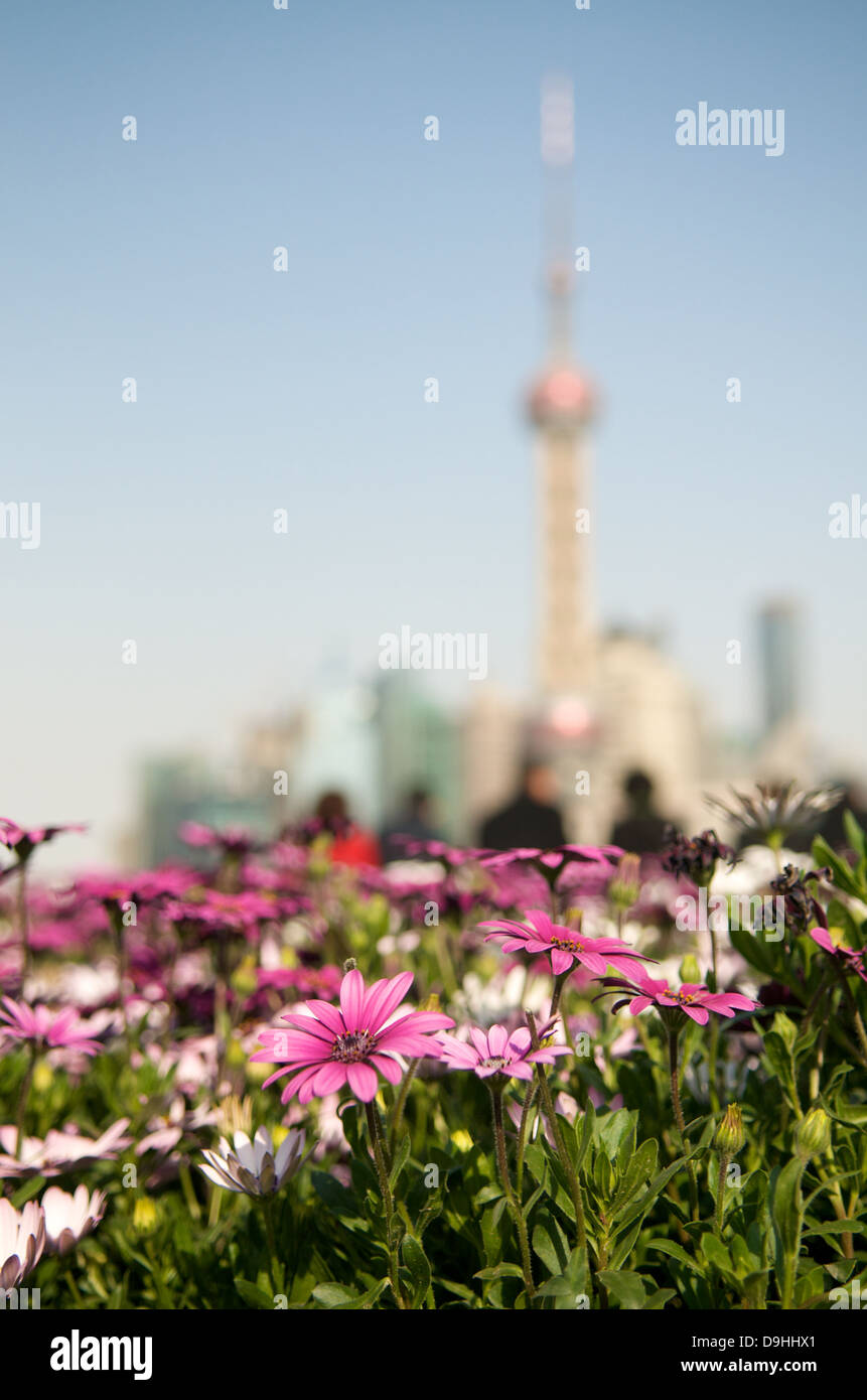 Shanghai city surrounded by green nature Stock Photo - Alamy