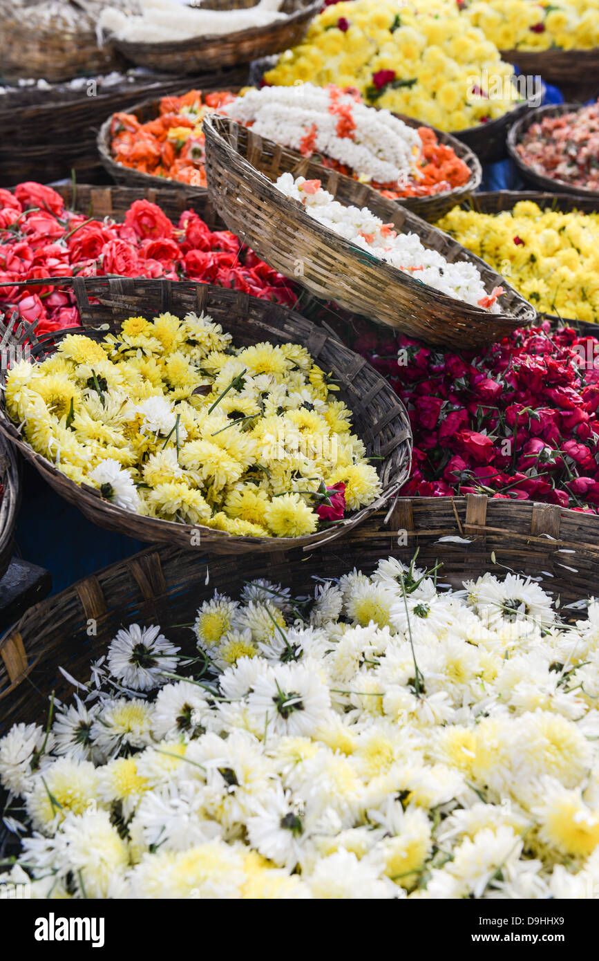Mums and Roses for Sale in India Stock Photo - Alamy
