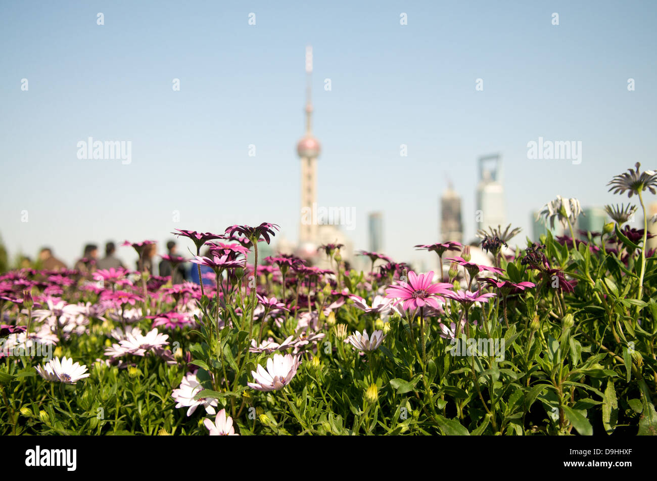 Shanghai city surrounded by green nature Stock Photo - Alamy