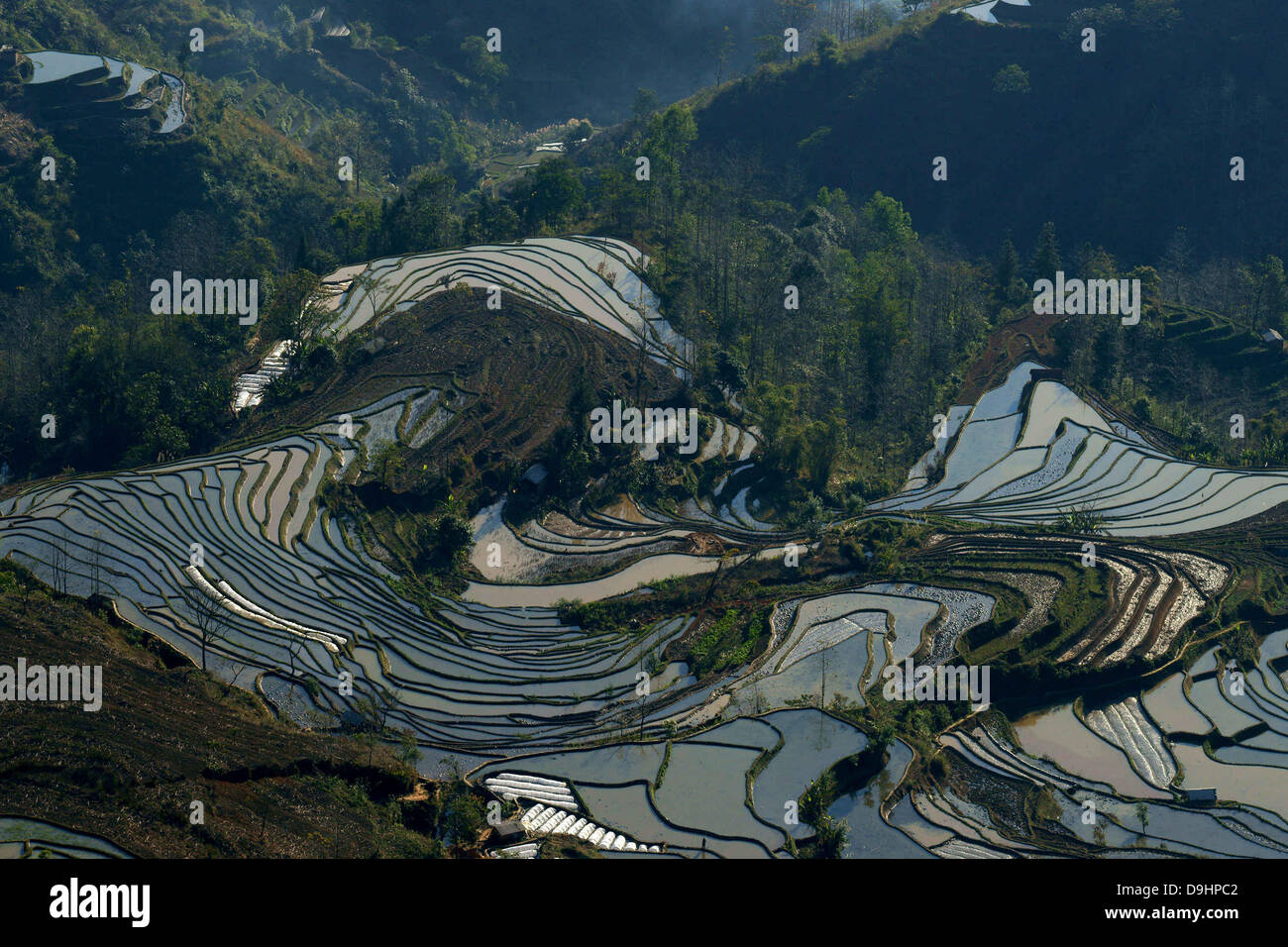 Honghe hani and yi autonomous prefecture hi-res stock photography and ...