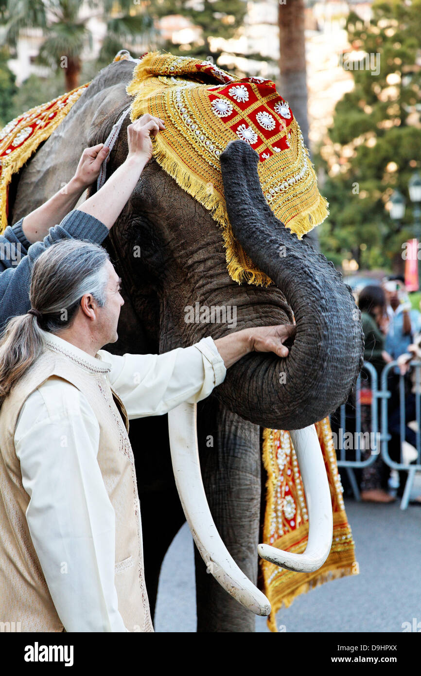 Elephant for indian wedding 60 photos - Astyledwedding.com