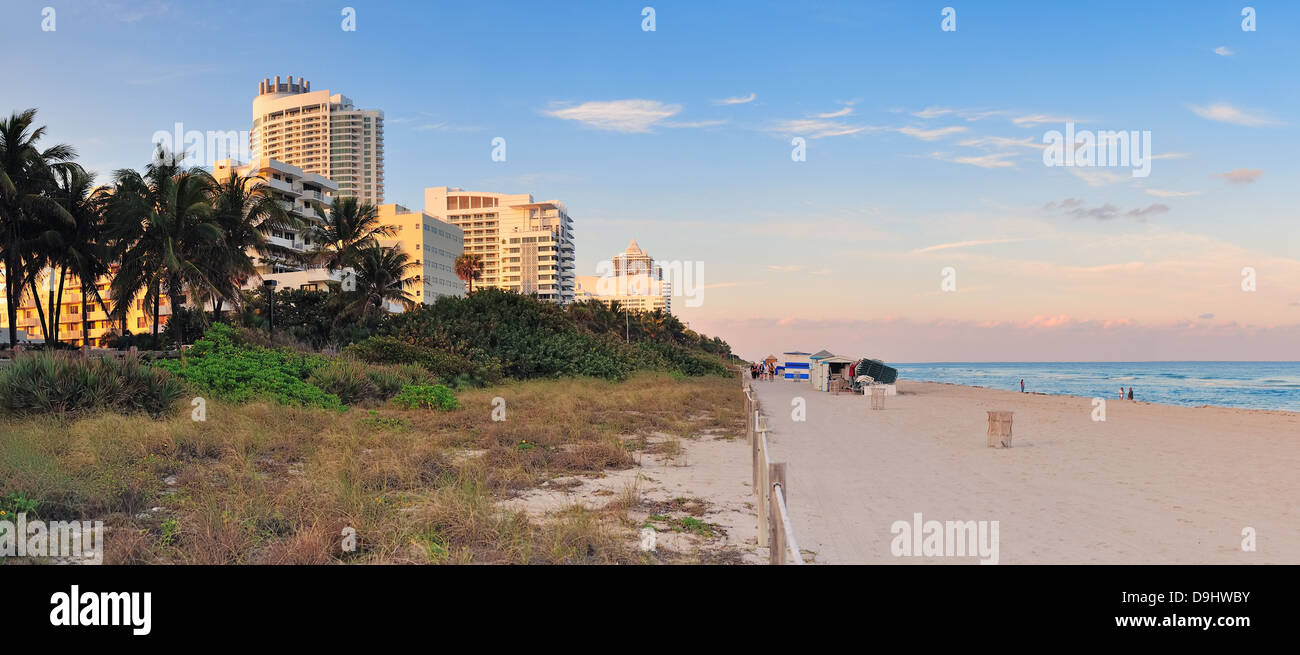 Miami tropical hi-res stock photography and images - Alamy