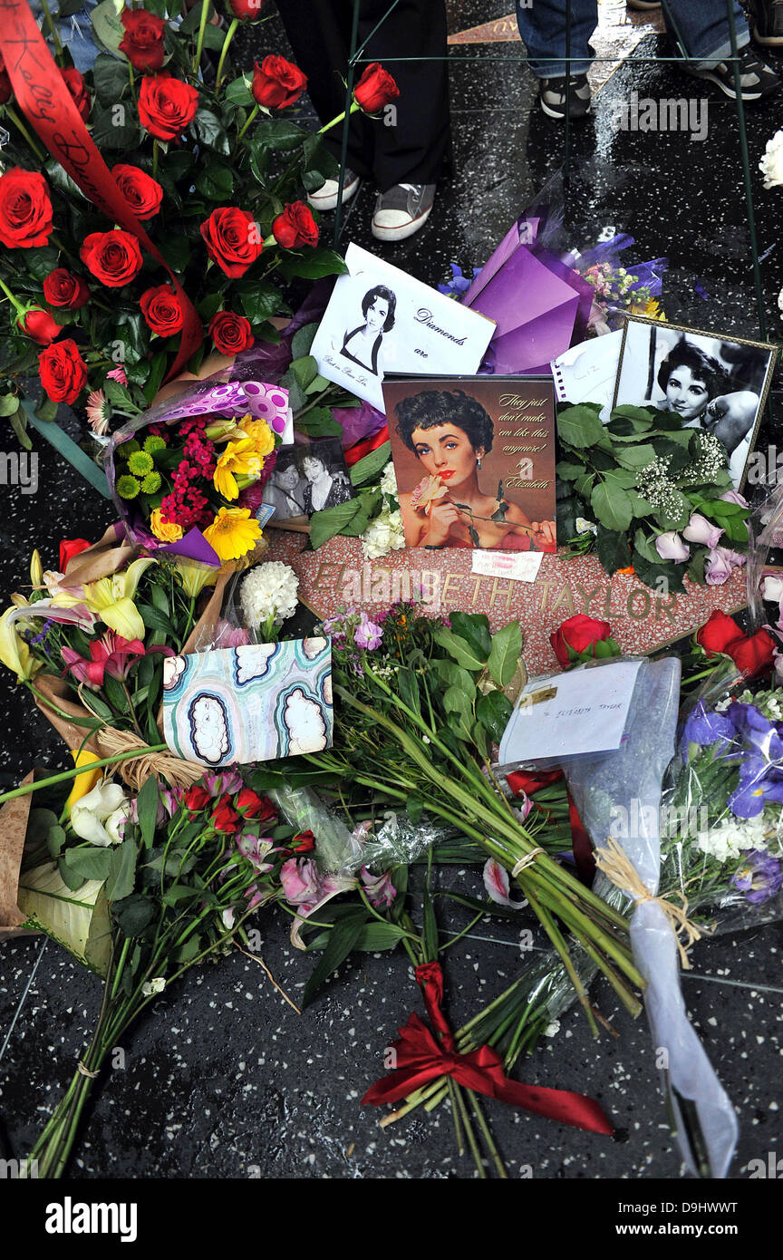 Elizabeth Taylor's Hollywood Walk of Fame star is adorned with flowers ...
